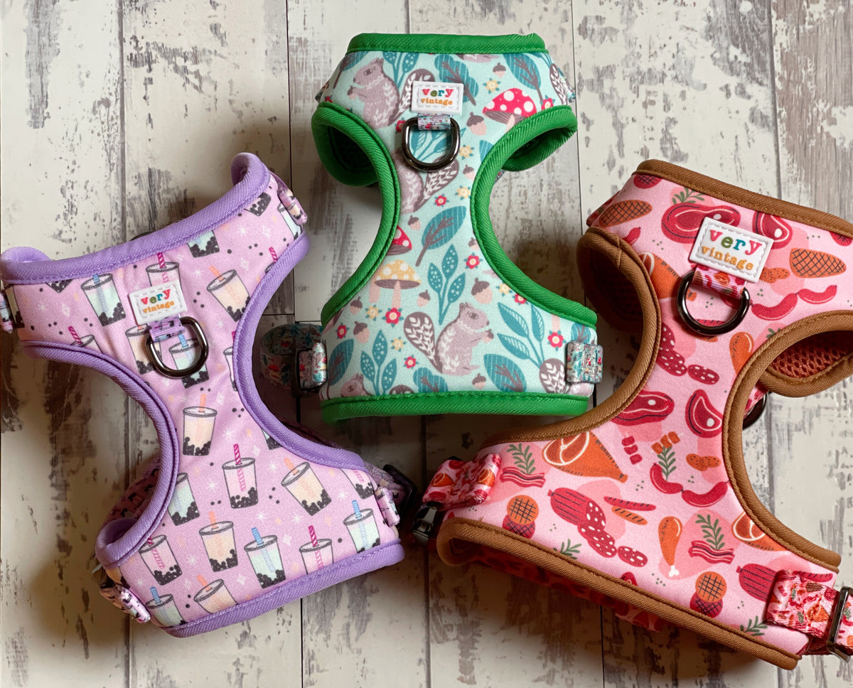 Eco-Friendly Pet Gear – Collars, Harnesses & More – veryvintagepets